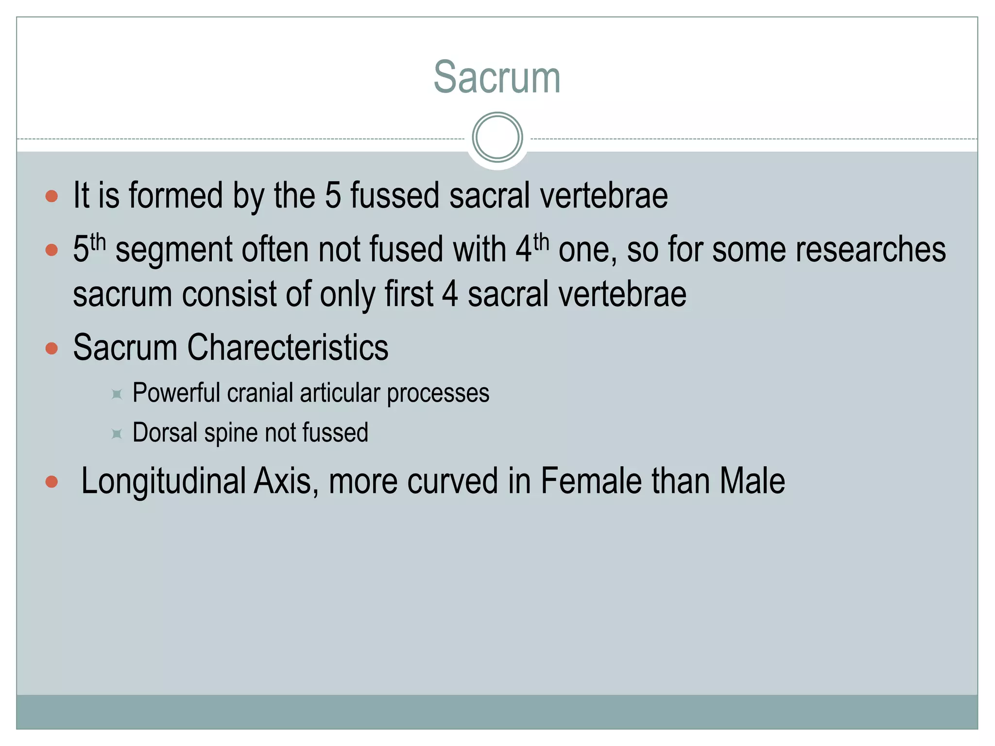 Comparative study of vertebral column of camel, ox and horse | PPTX