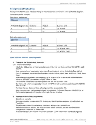 Copa realignment | PDF | Business Accounting & Finance | Business