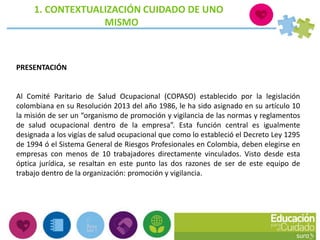copasst roles y funciones.pptx