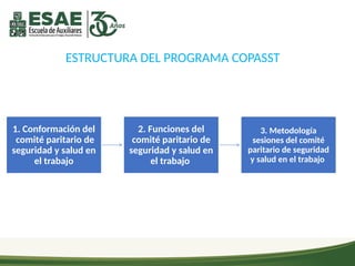 COPASST COMITE PARITARIO DE SEGURIDAD Y SALUD .pptx