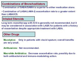 3 Asthma and COPD Management | PPT | Lung and Respiratory Health ...