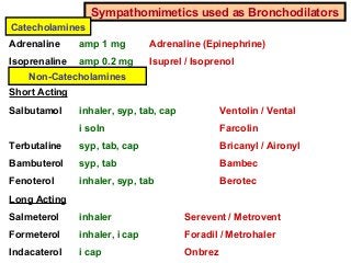 3 Asthma and COPD Management | PPT | Lung and Respiratory Health ...