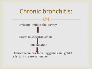 Chronic Bronchitis Pathology