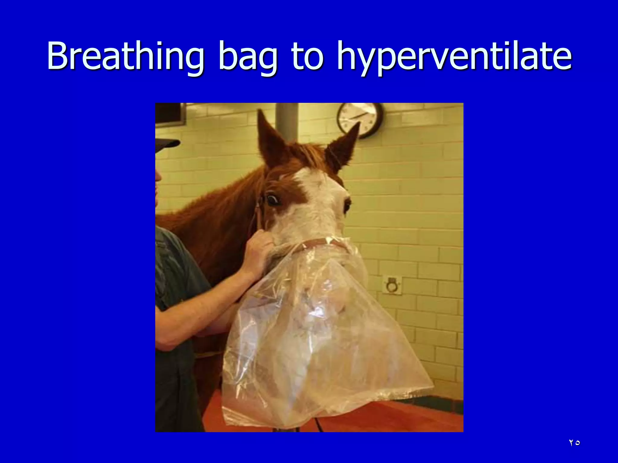 chronic obstructive pulmonary disease in equine | PPT