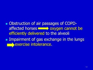 Chronic Obstructive Pulmonary Disease In Horses