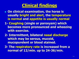 Chronic Obstructive Pulmonary Disease In Horses