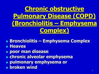 Chronic Obstructive Pulmonary Disease In Horses