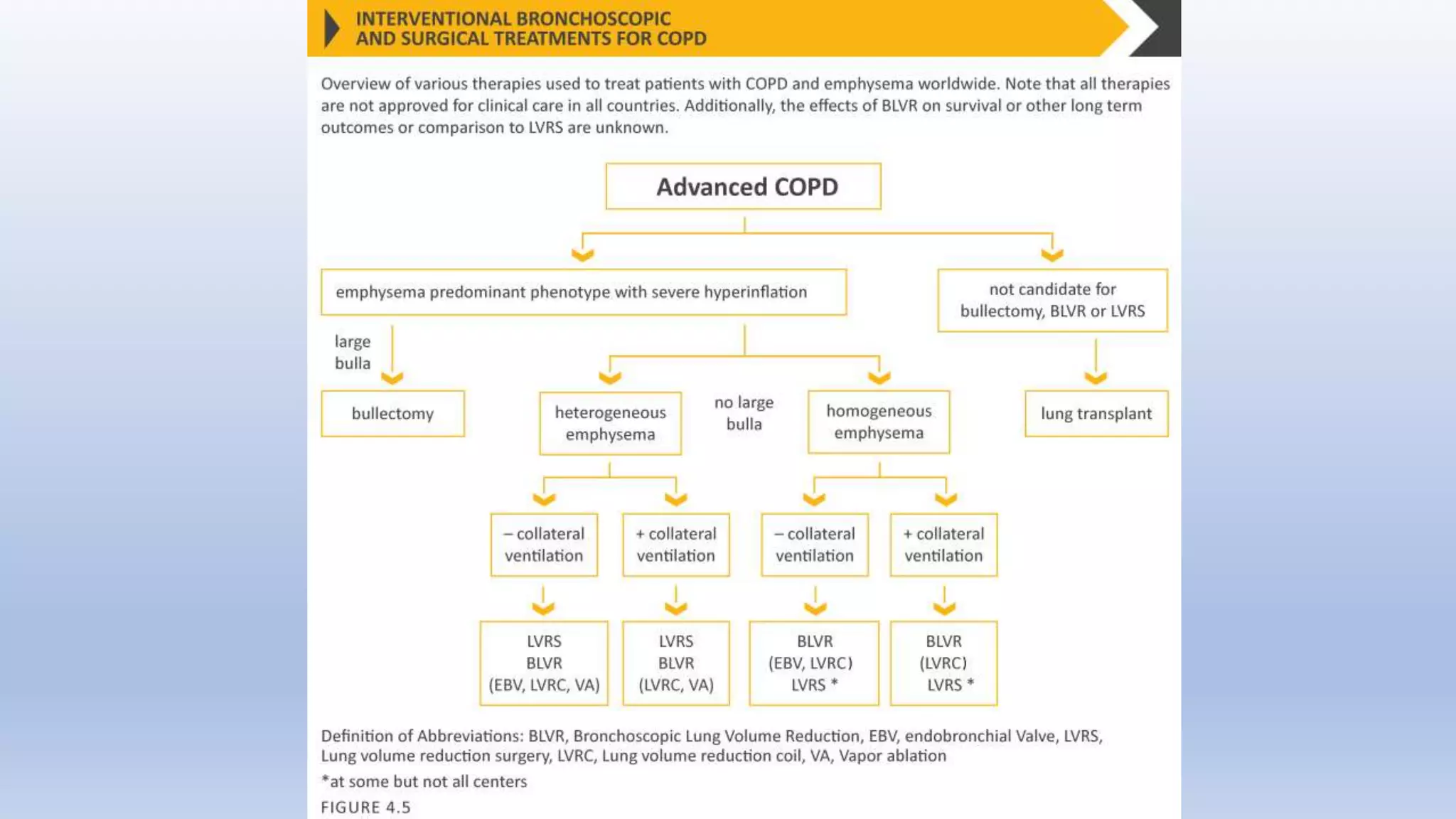 Copd-2019 | PPTX | Lung and Respiratory Health | Diseases and Conditions