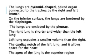 COPD(Chronic Obstructive Pulmonary Disease) a7med-mo7amed | PPTX | Lung ...