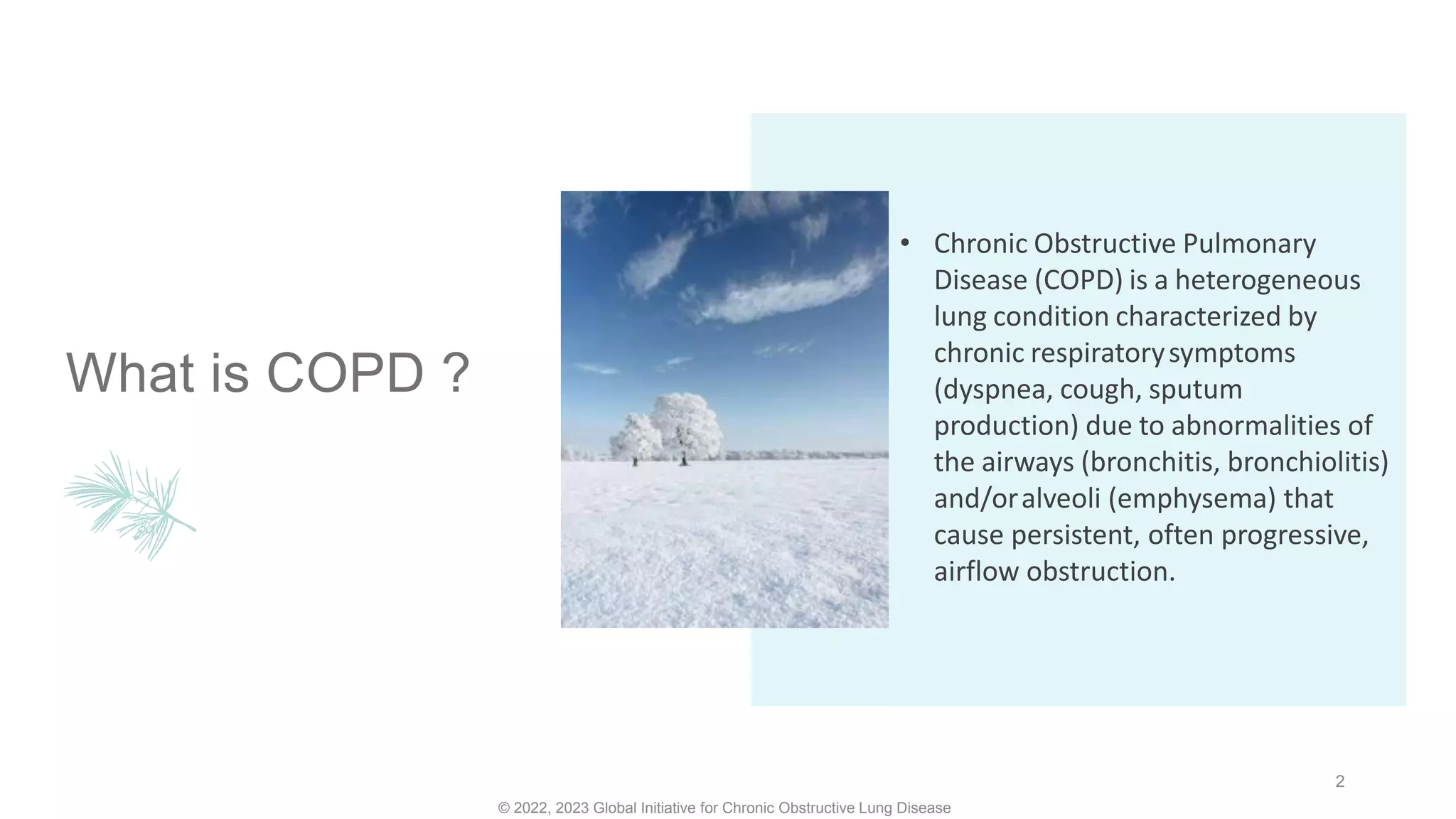 COPD.pptx