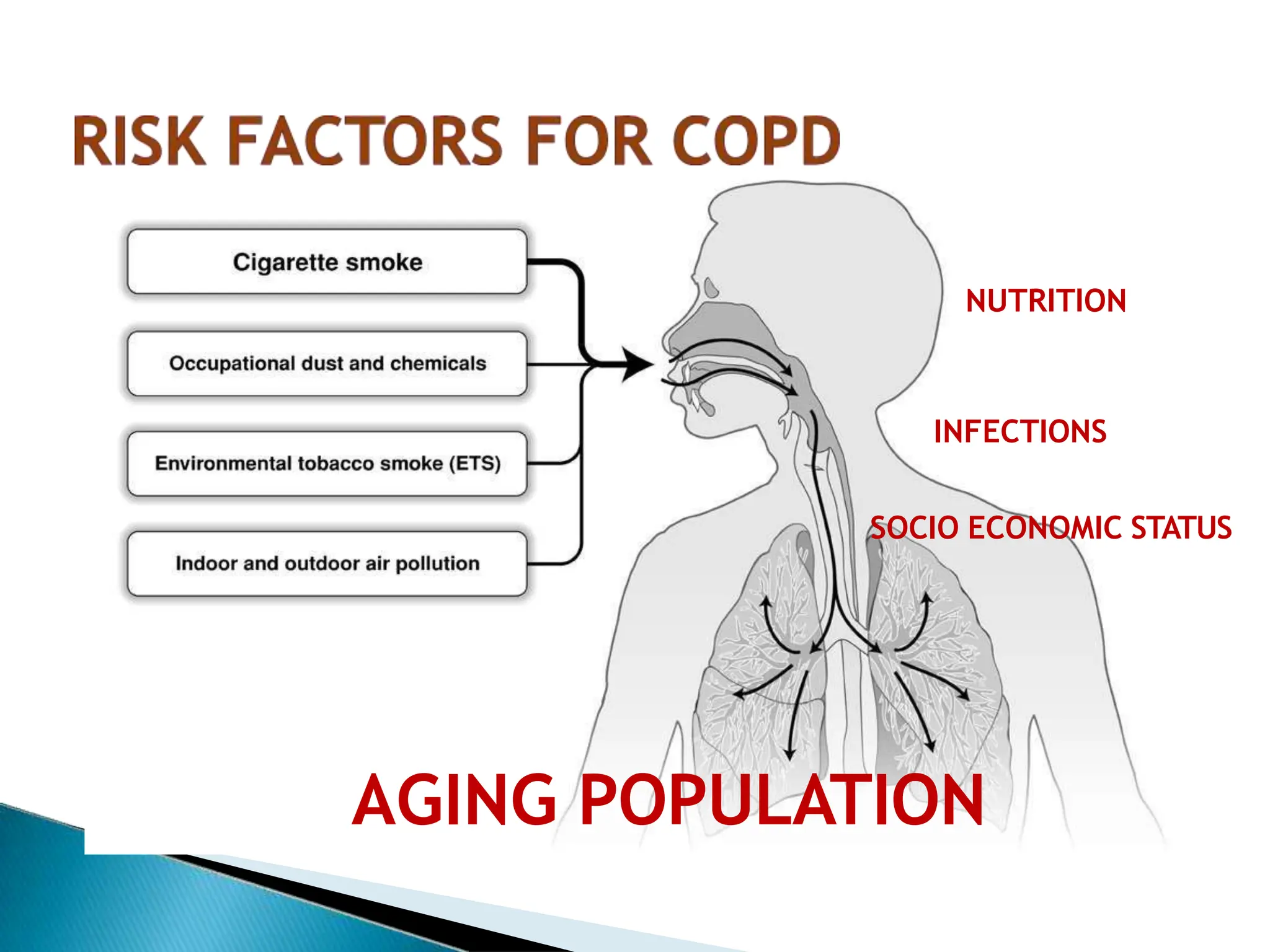 COPD.555.pptx chronic obstructed pulmonary disease | PPTX