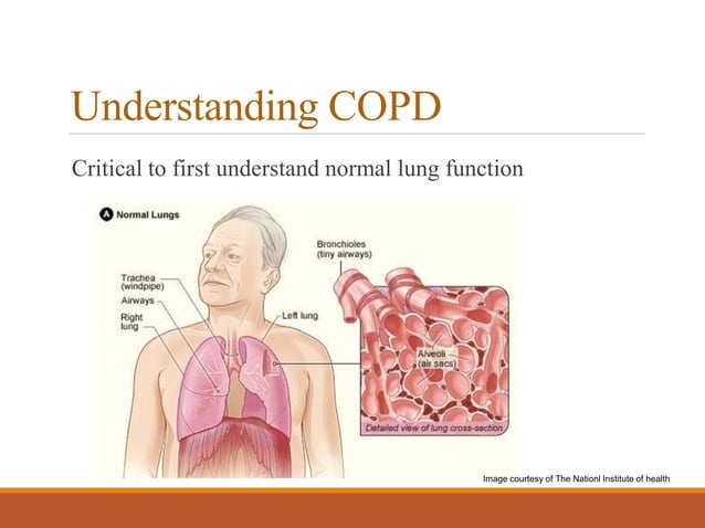 Presentation on COPD (Chronic Obstructive Pulmonary Disease) | Jindal ...