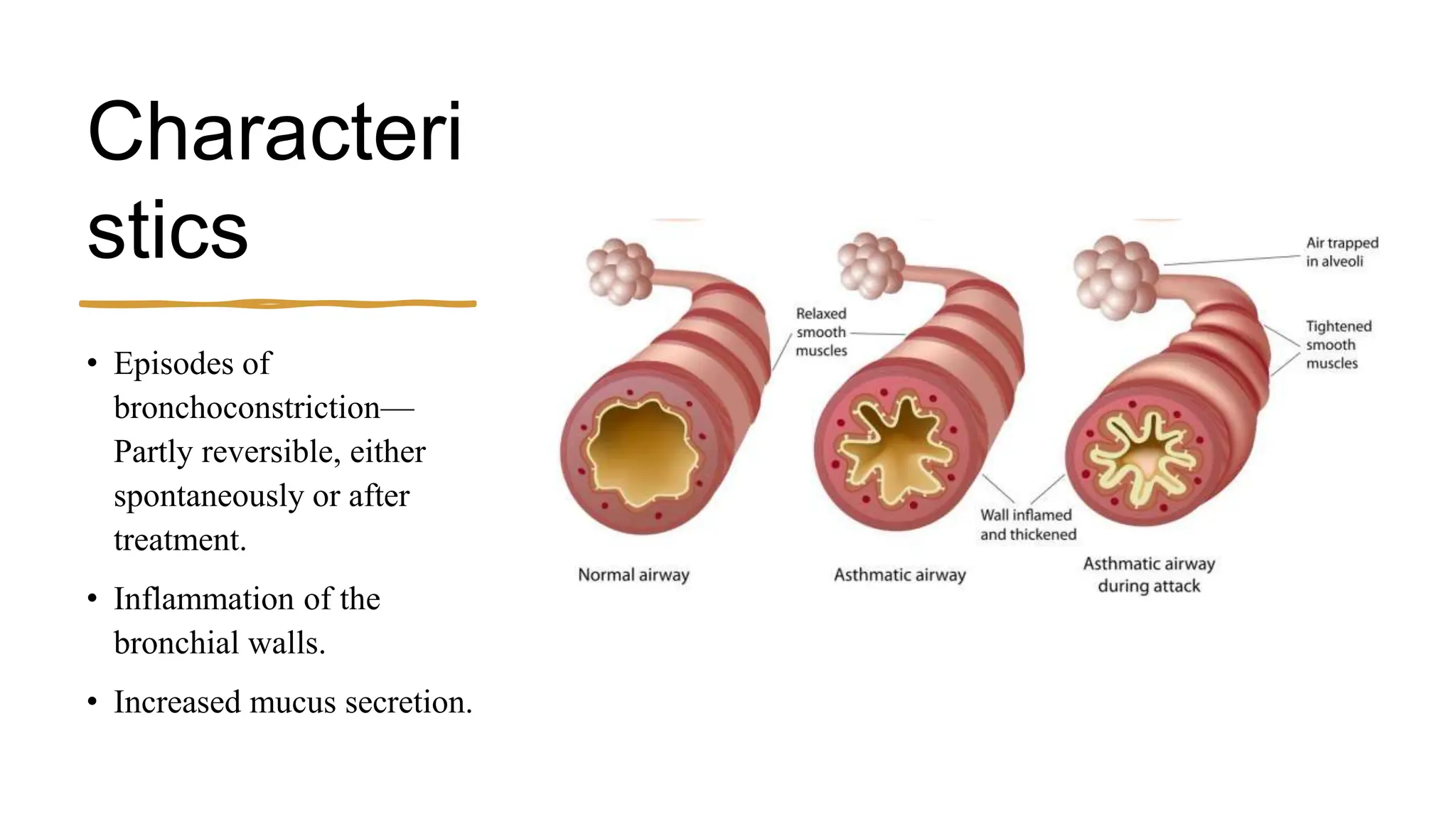 Chronic Obstructive Lung Disease or Pulmonary Disorder | PPTX | Lung ...