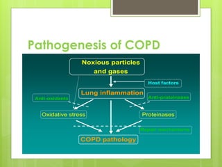 Chronic obstructive pulmonary disease COPD | PPTX