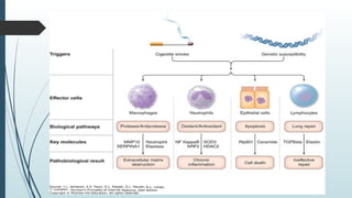 Basics and advance of pathogenesis COPD.pptx