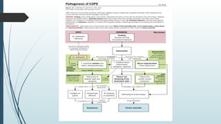 Basics and advance of pathogenesis COPD.pptx