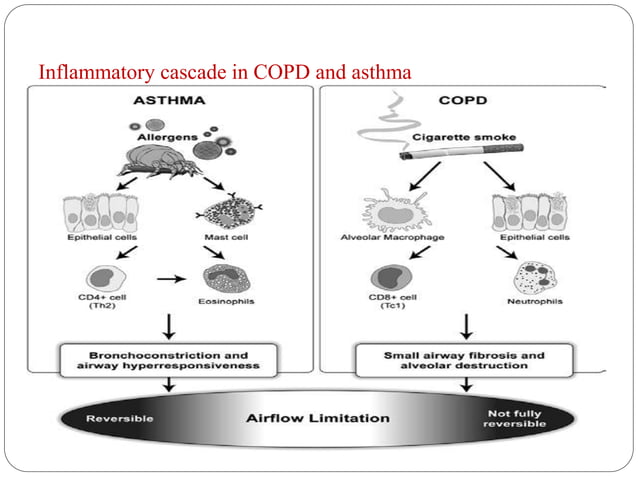 COPD:CLINICAL REVIEW AND ANESTHESIA CONSIDERATION | PPTX