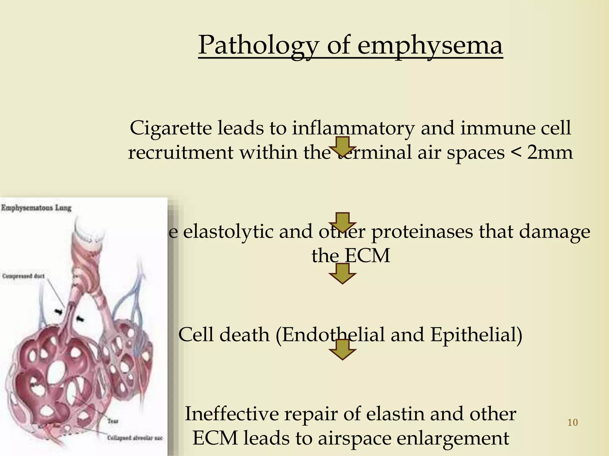 COPD overview and update | PPTX