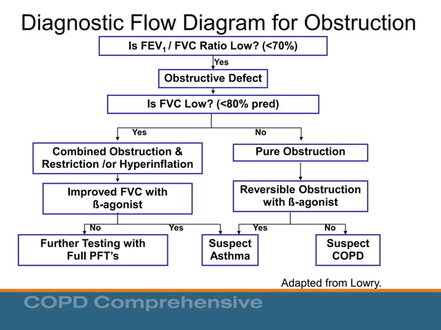 COPD-Spirometry-Module.ppt