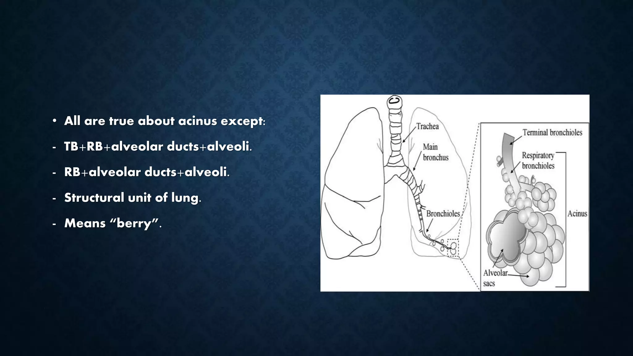 COPD Teaching Slides for UGs | PPTX