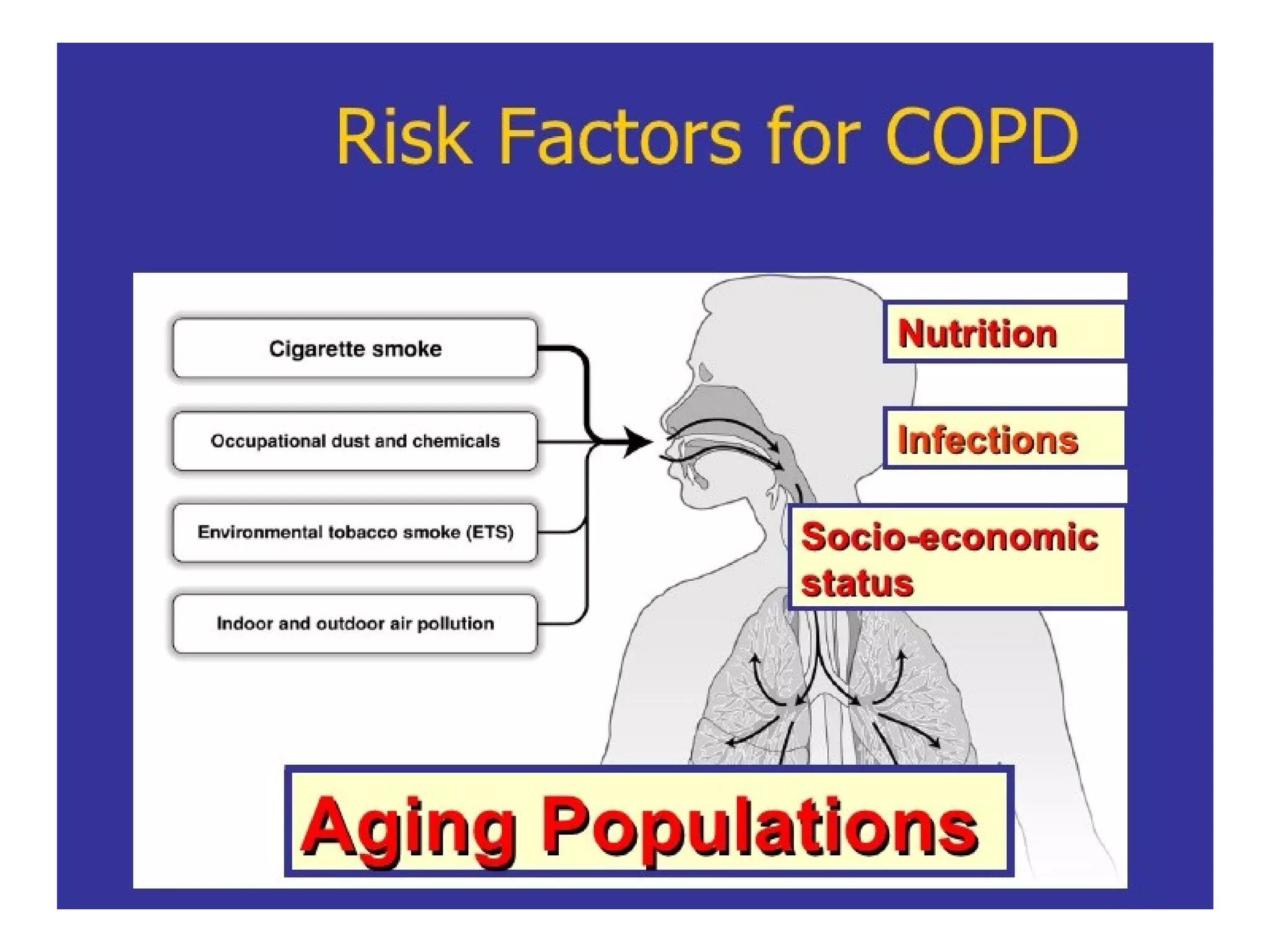 Copd and pollution | PPT