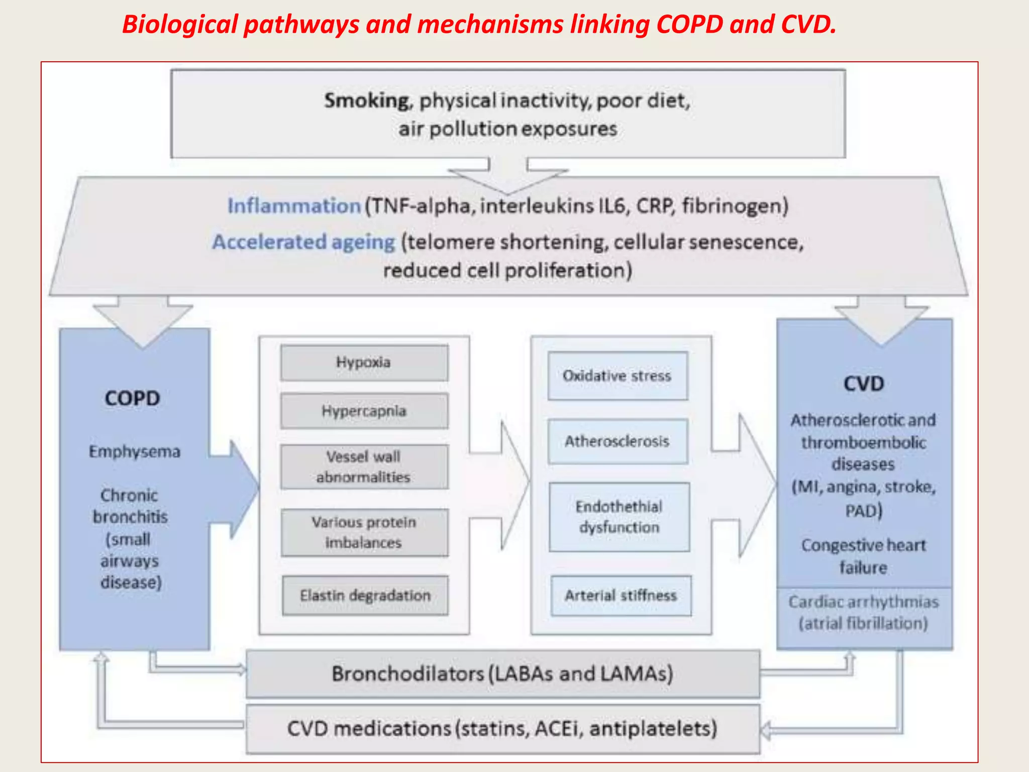 Chronic Obstructive Pulmonary Disease and Heart Failure The challenges ...