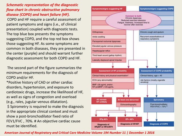 Chronic Obstructive Pulmonary Disease and Heart Failure The challenges ...