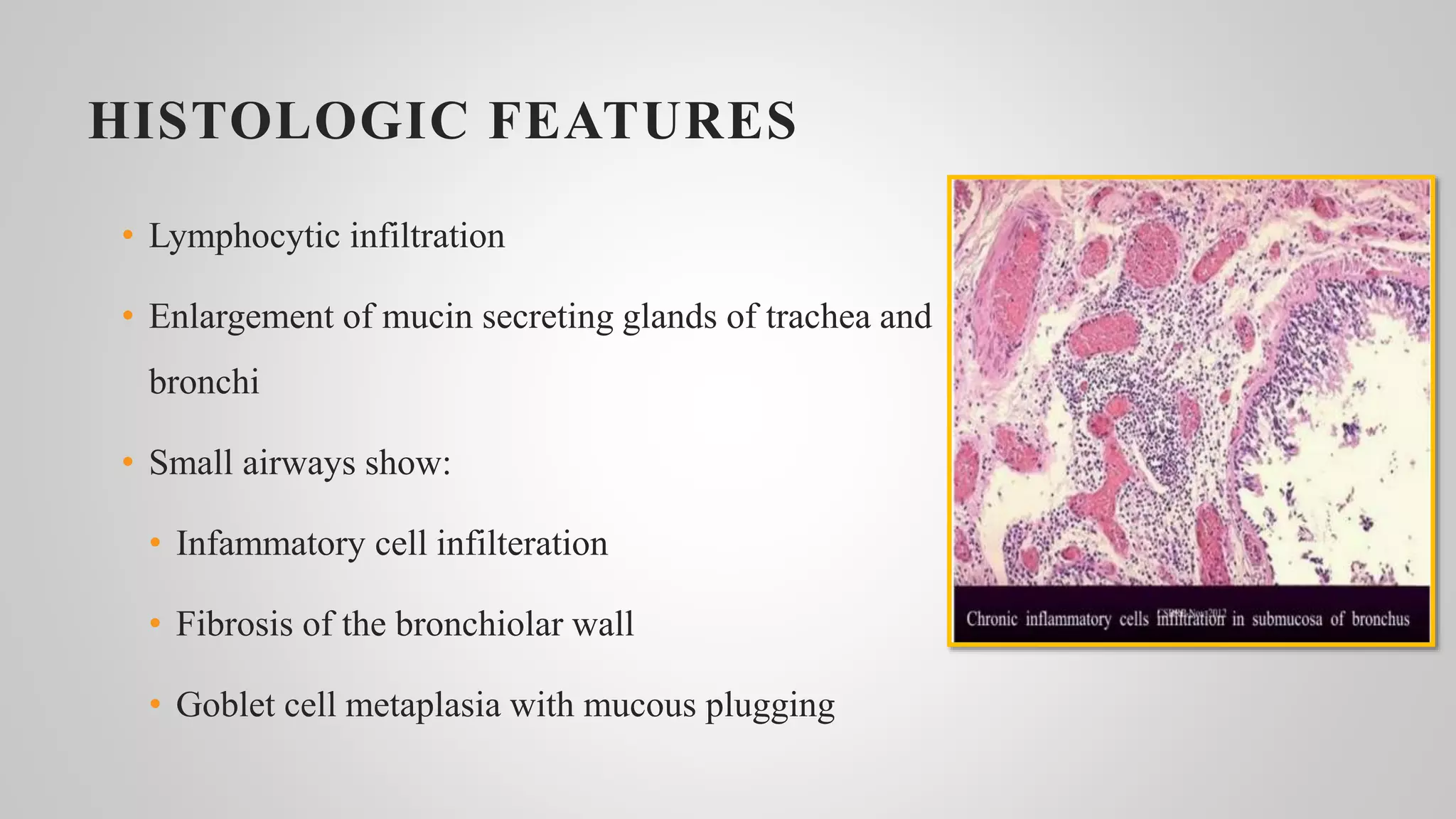 COPD INTRODUCTION.pptx