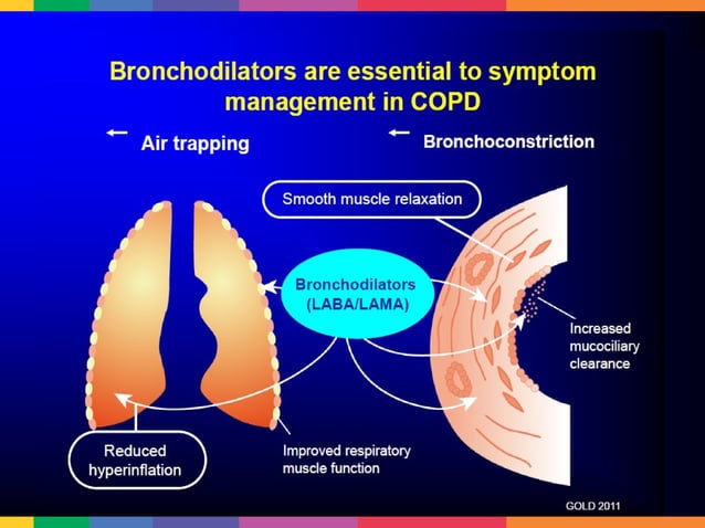 COPD new drugs new devices | PPT