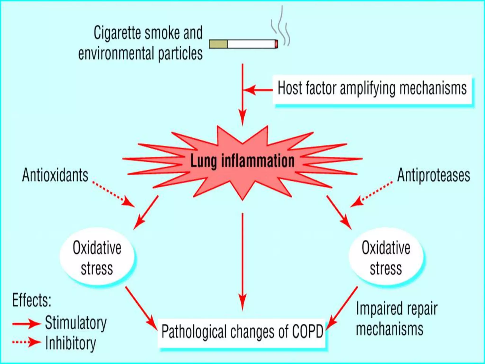 COPD Presentation | PPTX