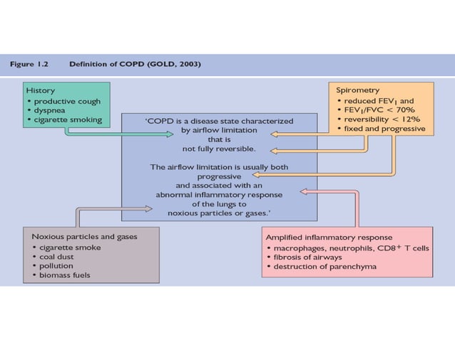 CHRONIC OBSTRUCTIVE PULMONARY DISEASE ( COPD )_2024.pptx | Lung and Respiratory Health ...