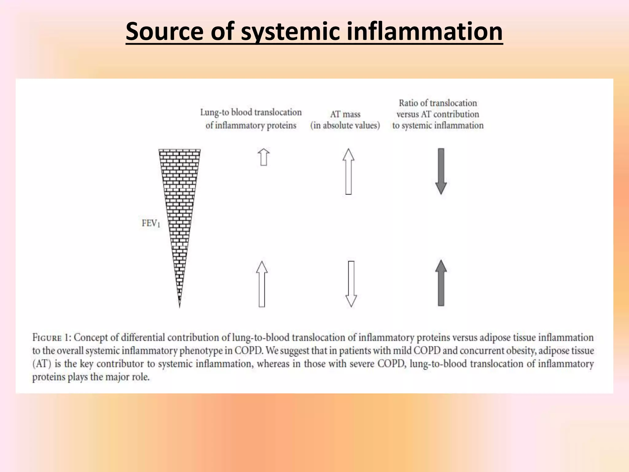 Copd systemic inflammation or systemic manifestations | PPTX