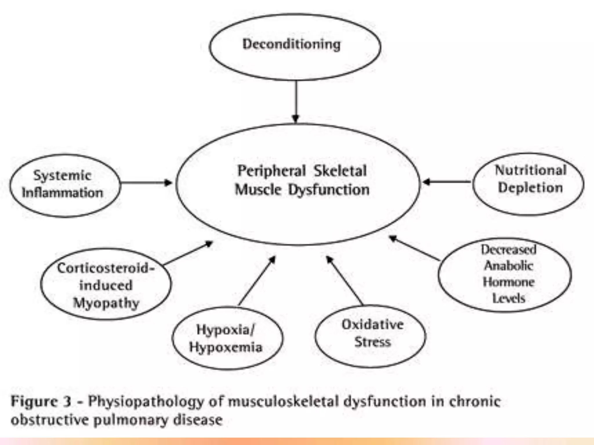 Copd systemic inflammation or systemic manifestations | PPTX