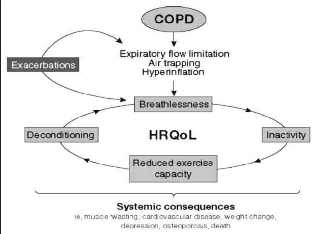 Copd systemic inflammation or systemic manifestations | PPTX | Lung and ...