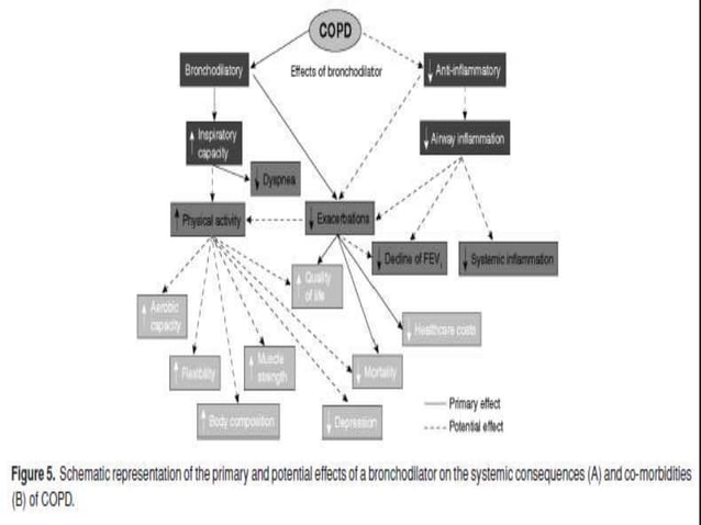 Copd systemic inflammation or systemic manifestations | PPTX | Lung and ...