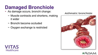 Chronic Obstructive Pulmonary Disease | VITAS Healthcare | PPT