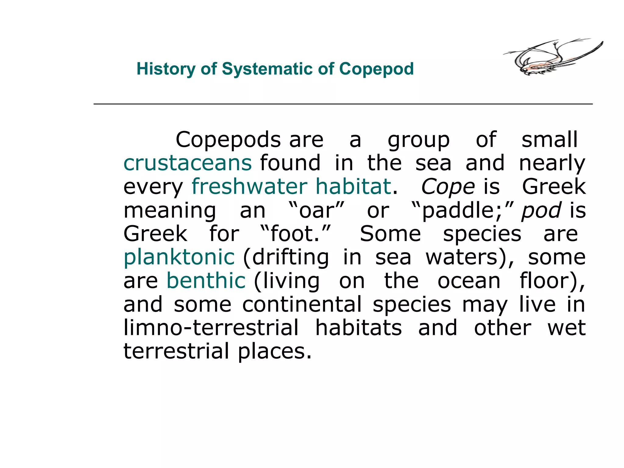 Copepod | PPT