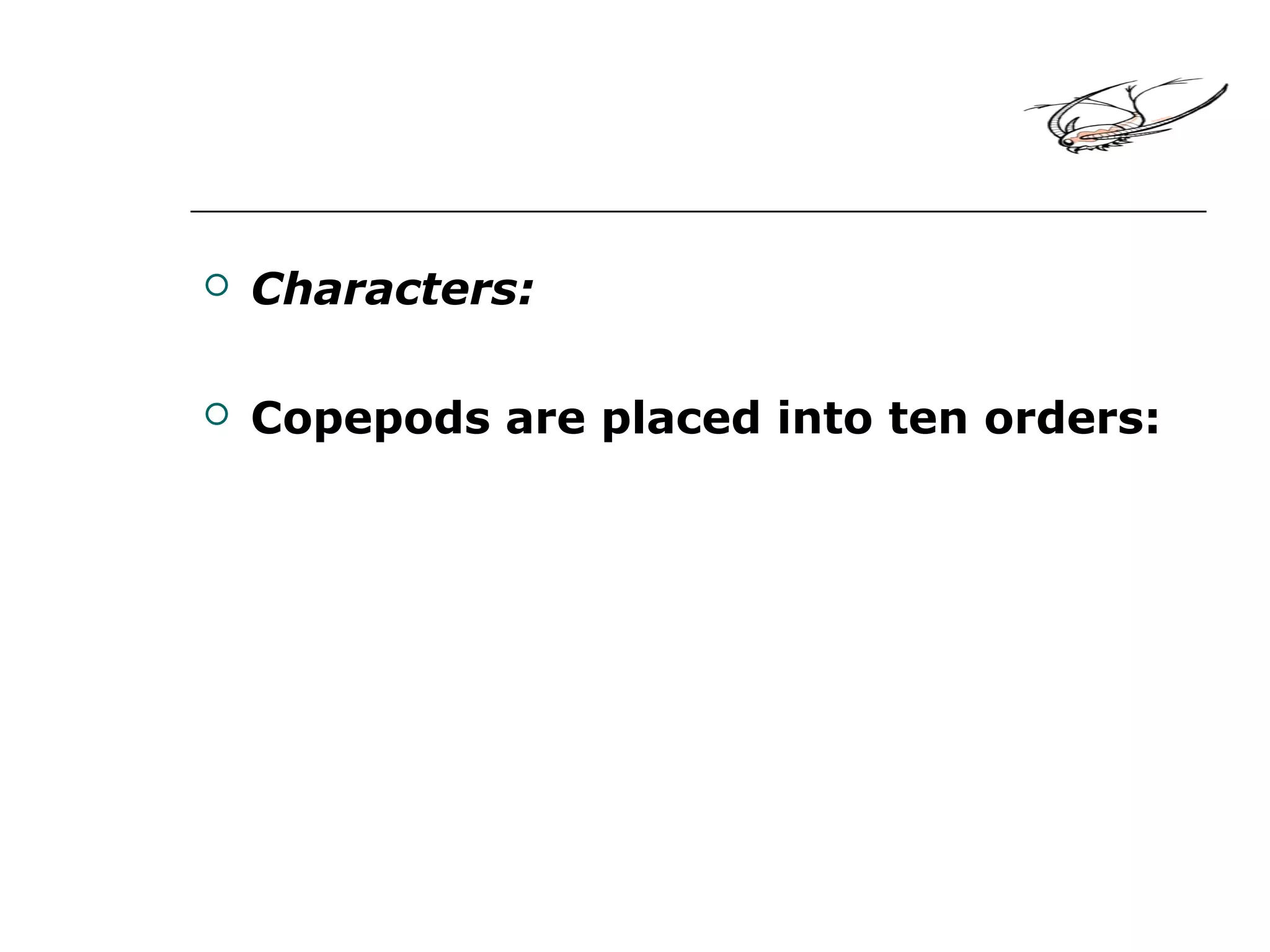 Copepod | PPT