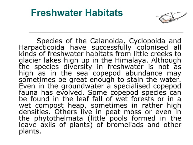 Copepod | PPT | Geography | Science