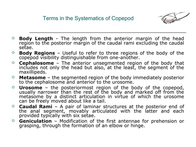 Copepod | PPT | Geography | Science