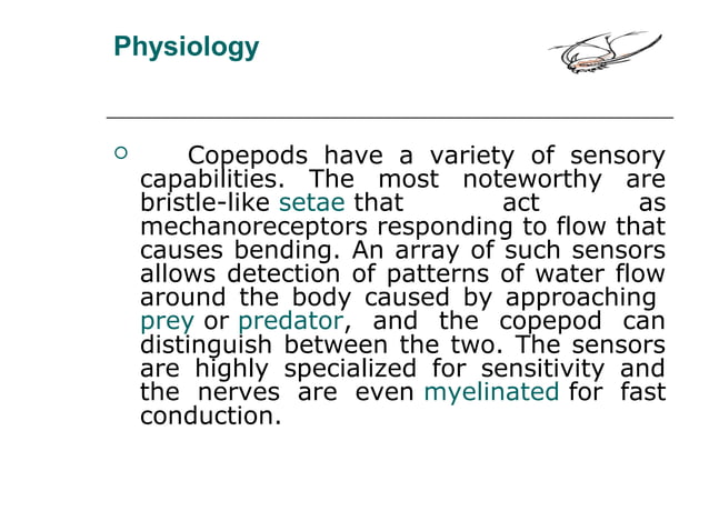 Copepod | PPT | Geography | Science