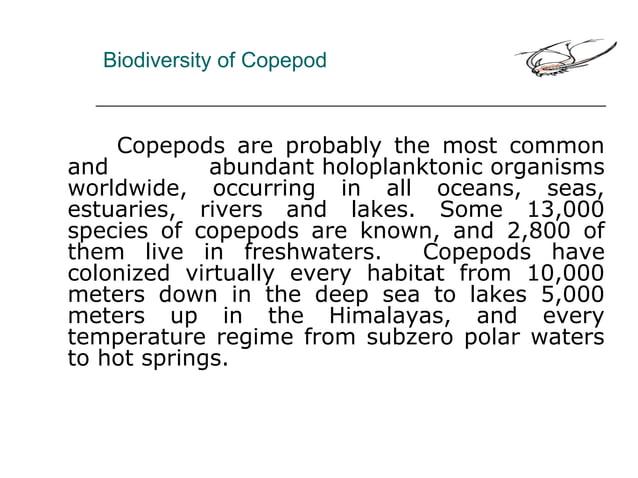 Copepod | PPT | Geography | Science