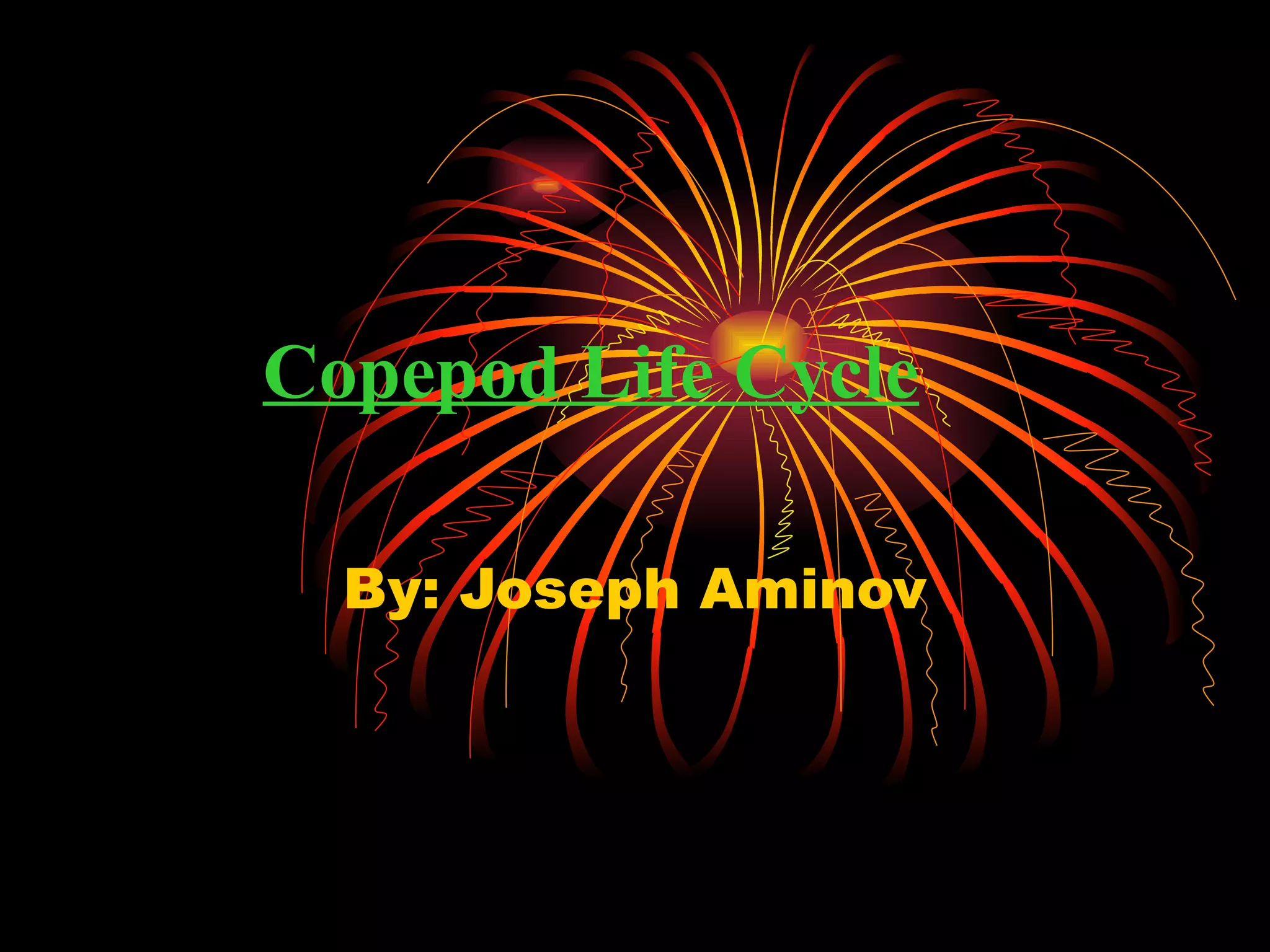 Copepod life cycle | PPT