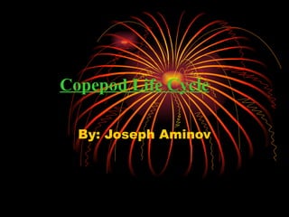 Copepod life cycle | PPT