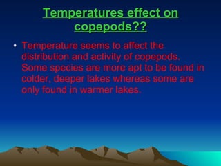Copepod life cycle | PPT