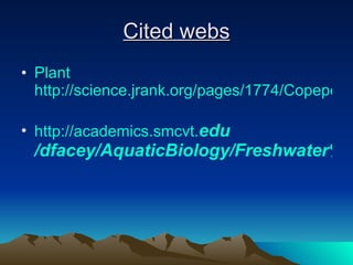 Copepod life cycle | PPT