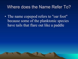Copepod life cycle | PPT