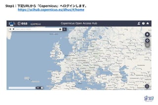 Copernicus how to-get satellite image | PDF