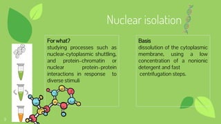 Seminario Biologia molecular | PPT