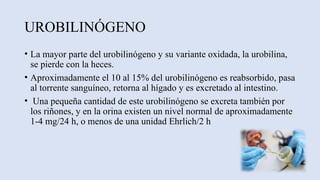 Copia de BILIRRUBINA Y UROBILINÓGENO-1.pptx